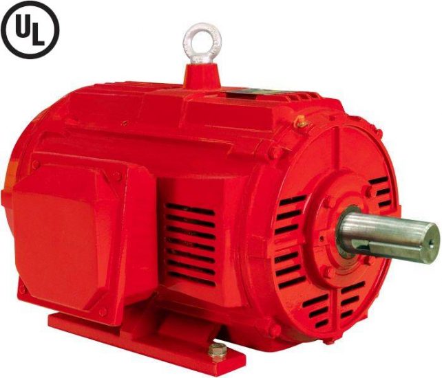 Open Drip Proof Motor – Danvic Safety Solutions International